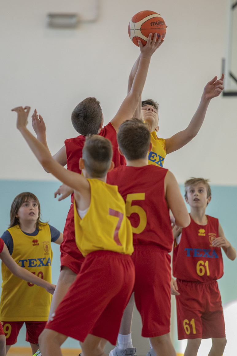 Giovanili – Roncade Basket